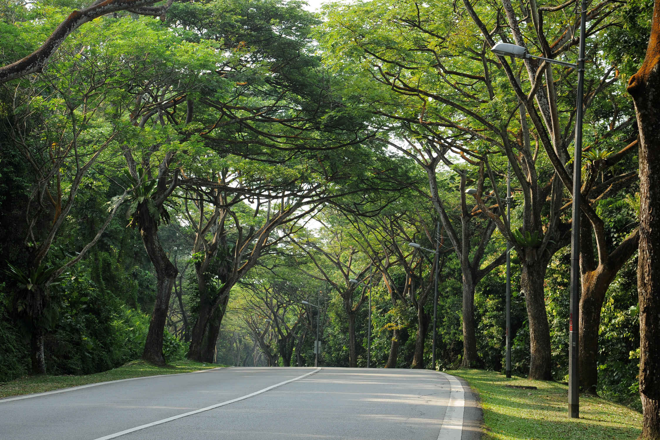 Heritage Road Scheme